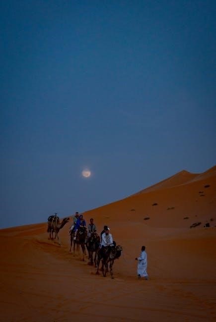 Shentel Channel Guide - Your Ultimate TV Listings & Schedule